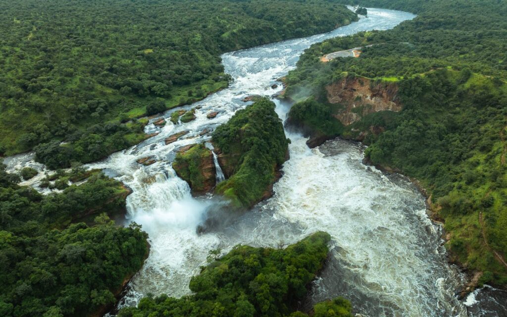11 Things You Need to Know Before Visiting Murchison Falls