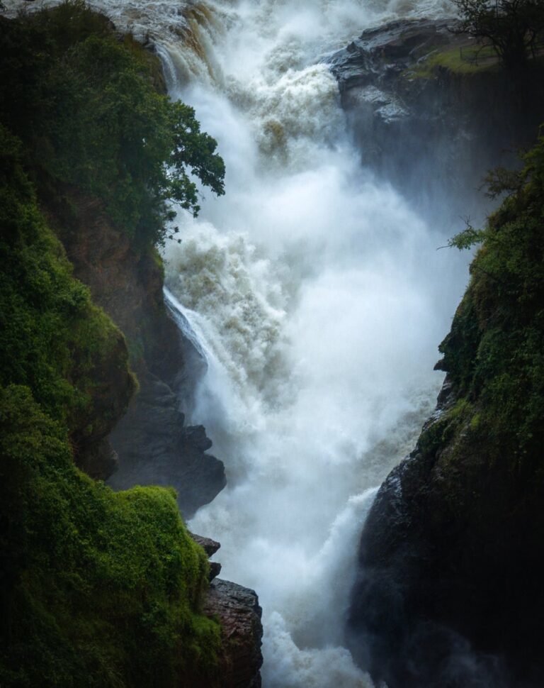 11 Things You Need to Know Before Visiting Murchison Falls