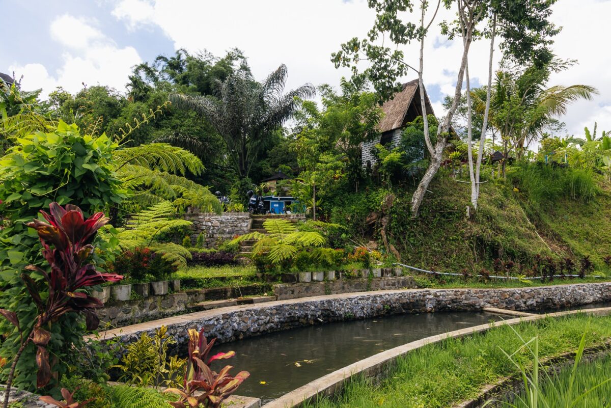 Guide to Tetebatu Waterfall (Durian Indah) in Lombok