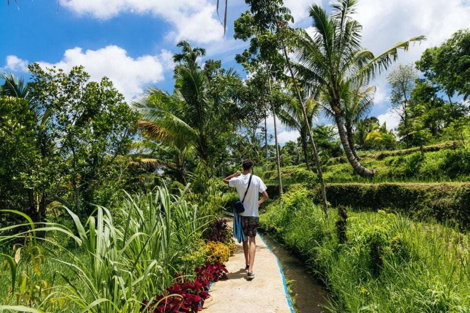 Guide to Tetebatu Waterfall (Durian Indah) in Lombok