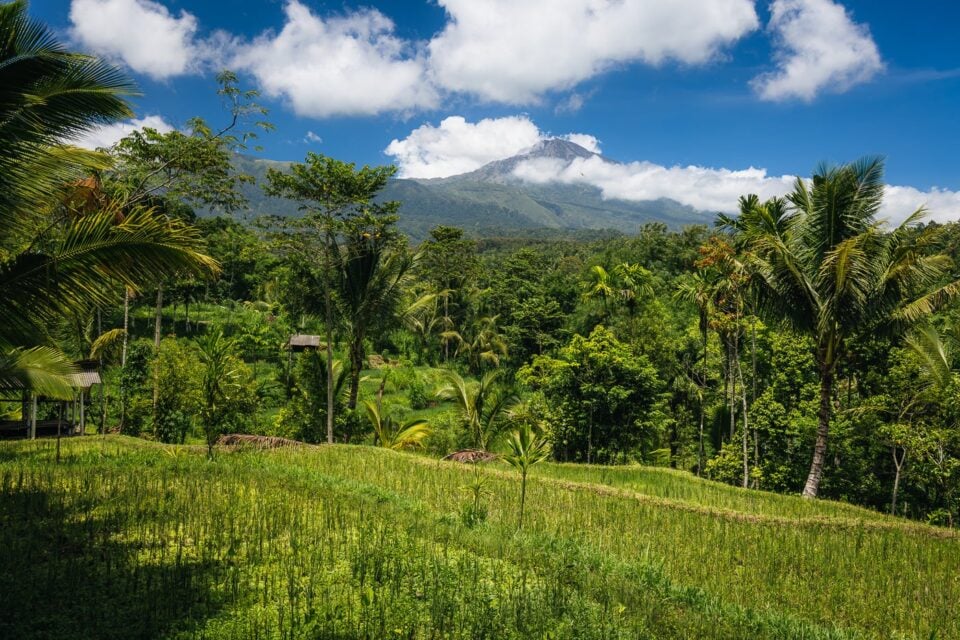 The Ultimate 7-Day Lombok Travel Itinerary