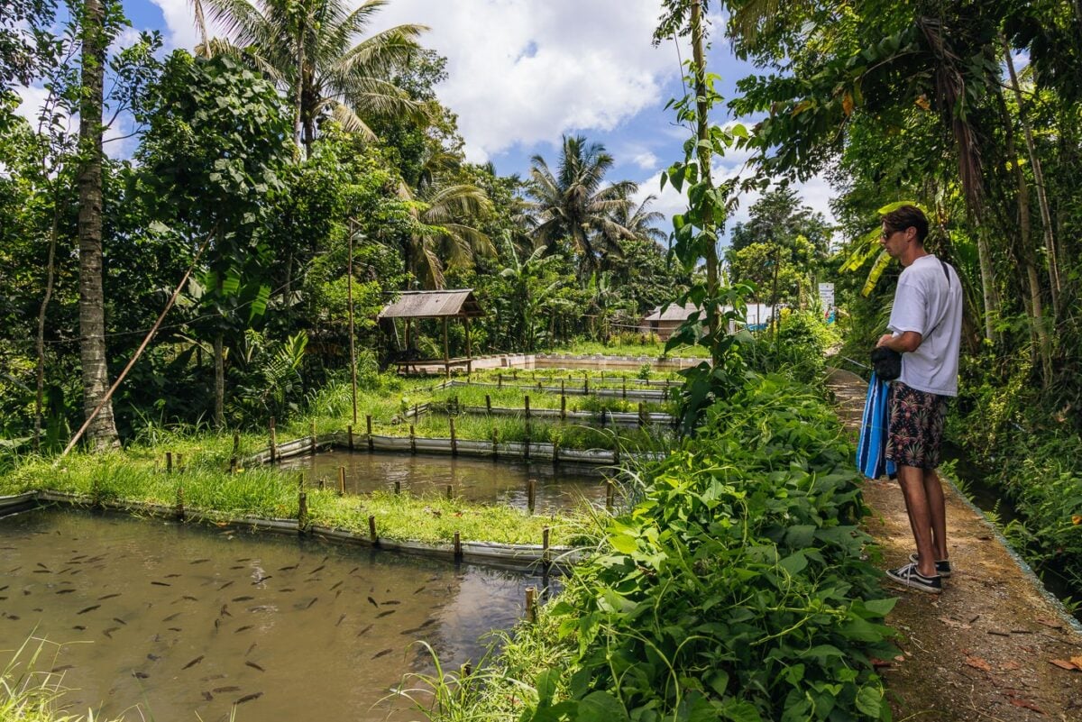 Guide to Tetebatu Waterfall (Durian Indah) in Lombok