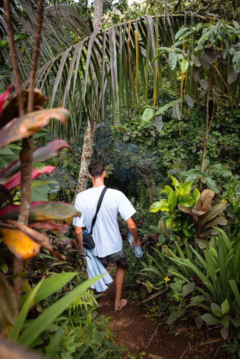 Guide to Tetebatu Waterfall (Durian Indah) in Lombok