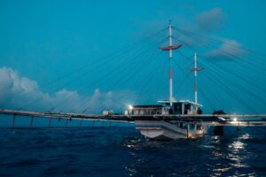 Snorkeling With Whale Sharks at Saleh Bay, Sumbawa
