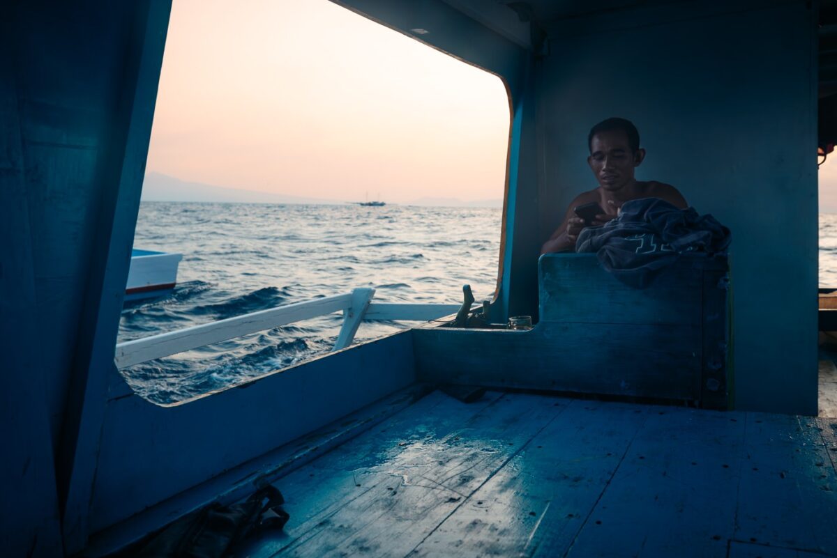 Snorkeling With Whale Sharks at Saleh Bay, Sumbawa