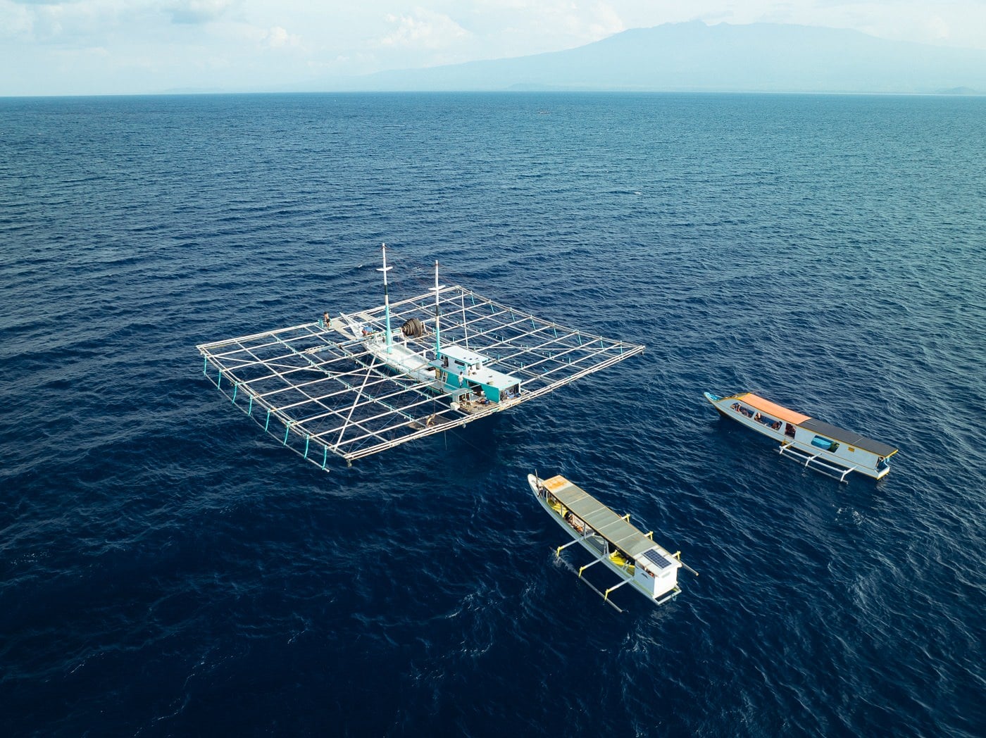 Snorkeling With Whale Sharks at Saleh Bay, Sumbawa (Indonesia ...