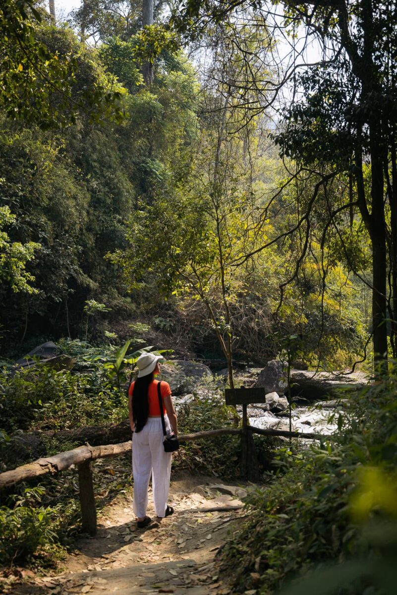 Wachirathan Waterfall in Doi Inthanon, Thailand