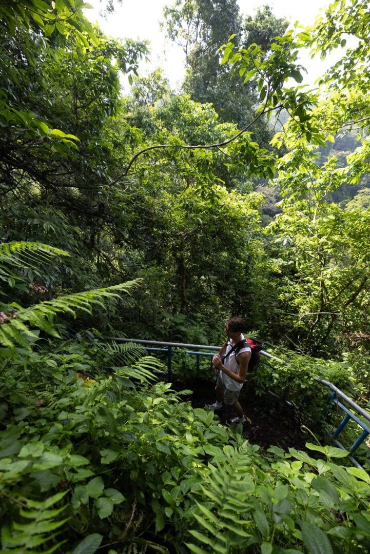 Tiu Teja Waterfall Hike in North Lombok: Complete Guide
