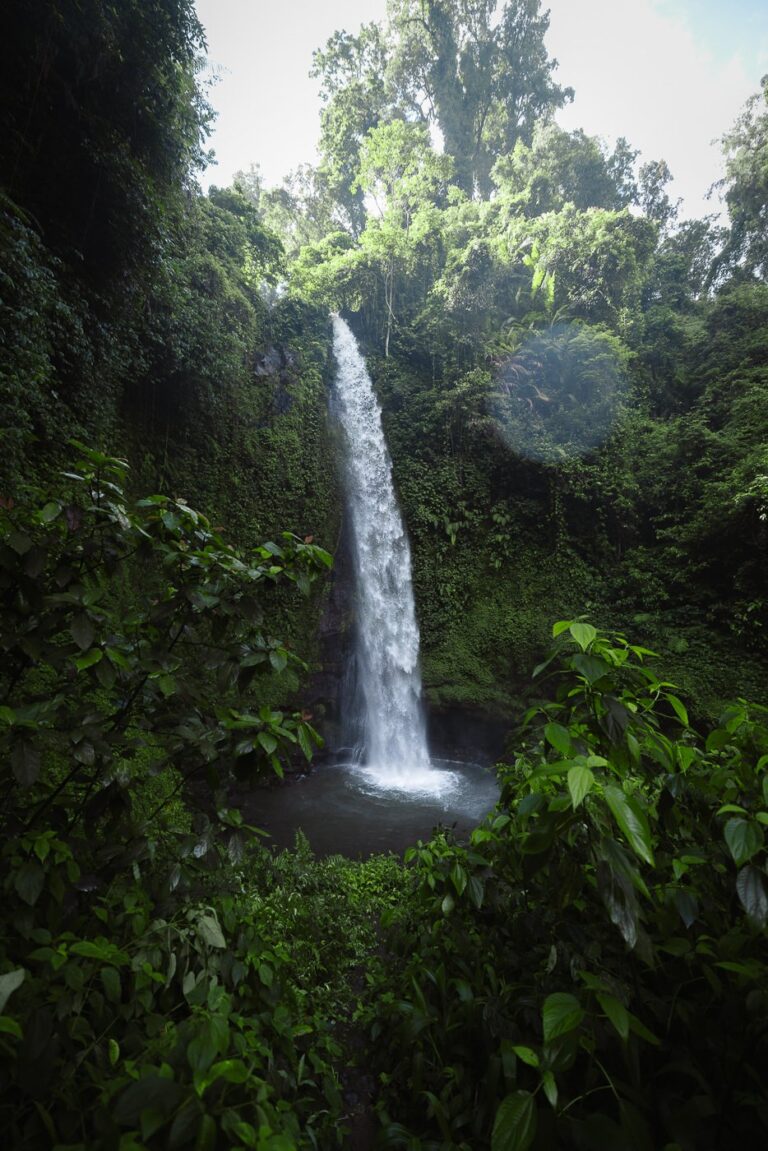 Tiu Teja Waterfall Hike in North Lombok: Complete Guide