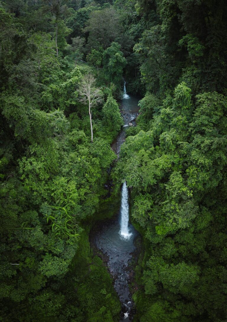 Tiu Teja Waterfall Hike in North Lombok: Complete Guide