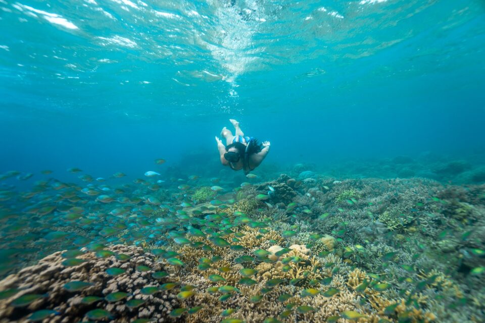 How to Visit Gili Nanggu in Lombok & What to Expect