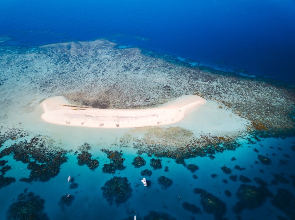 Where to go Snorkelling in Cairns: Best Spots & Reef Trips