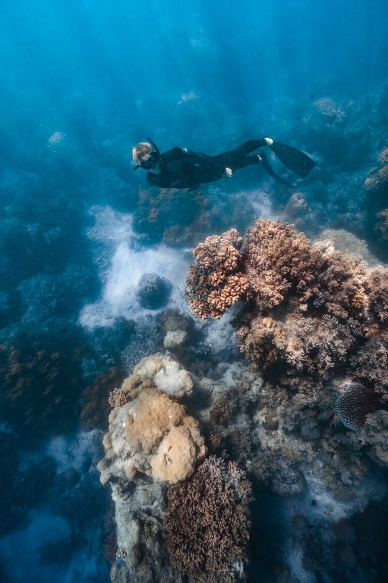 Where to go Snorkelling in Cairns: Best Spots & Reef Trips