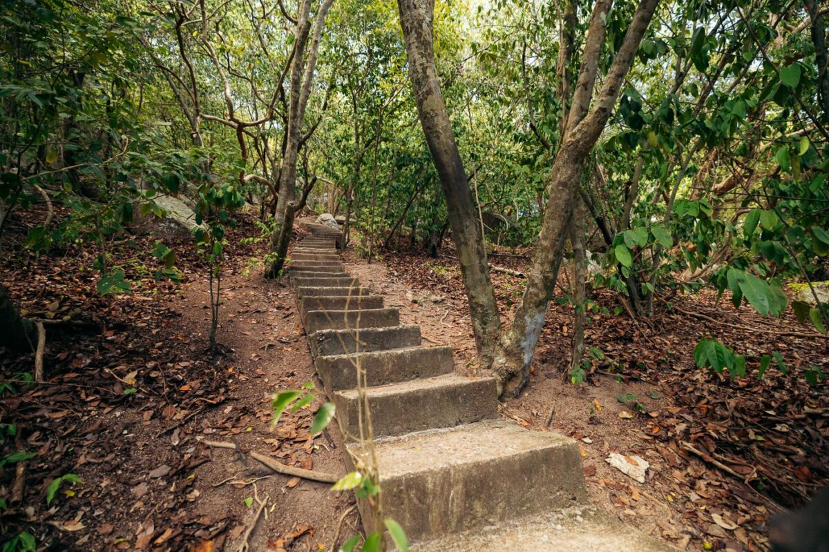 Koh Nang Yuan Viewpoint Hike: Complete Guide