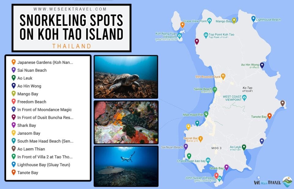 15 Amazing Snorkeling Spots on Koh Tao + Map