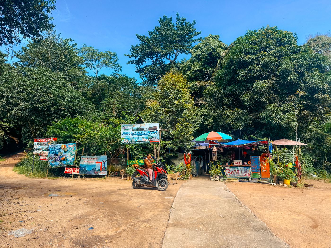 How to Get to Mango Bay Koh Tao & Where to Snorkel