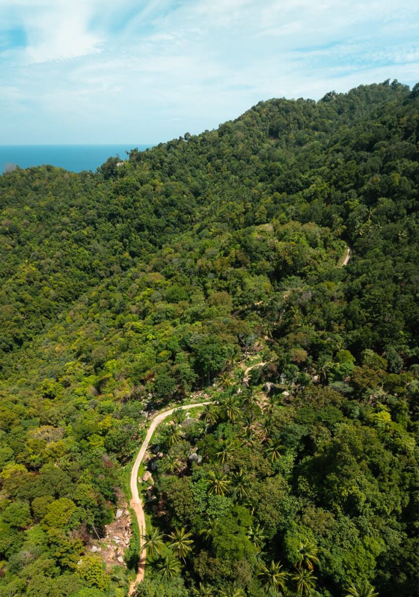 How to Get to Mango Bay Koh Tao & Where to Snorkel
