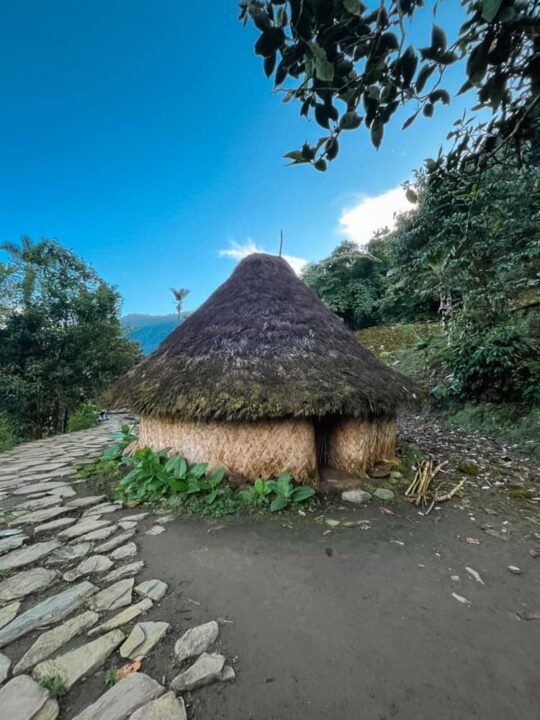 Lost City Trek in Colombia: My Detailed Guide