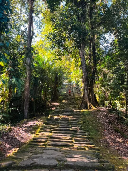 Lost City Trek in Colombia: My Detailed Guide