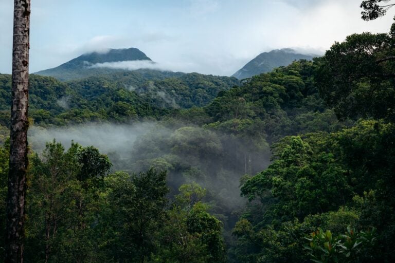 How to Visit Kolombangara Island & Stay at Imbu Rano Lodge