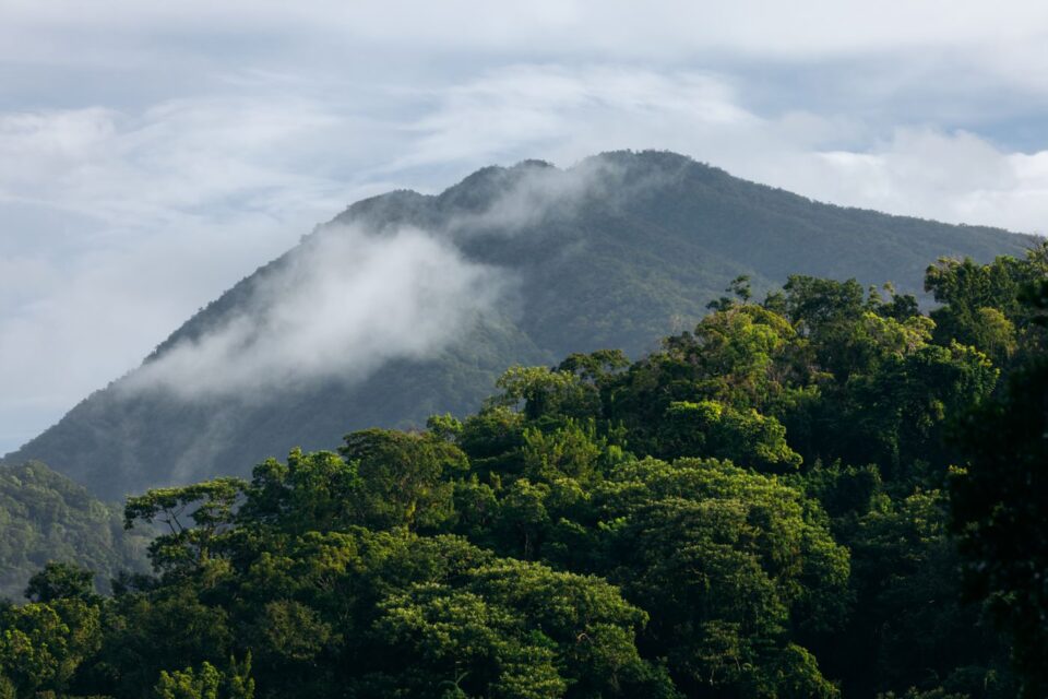 How to Visit Kolombangara Island & Stay at Imbu Rano Lodge