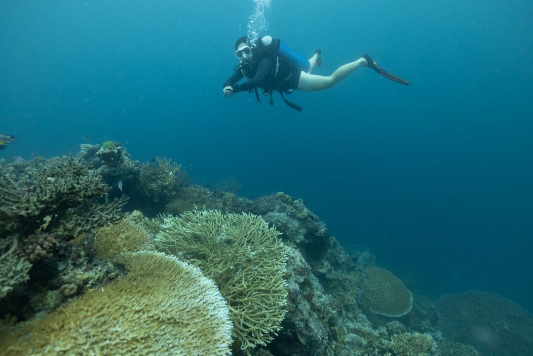 How to Visit Kennedy Island, Solomon Islands & What to Expect
