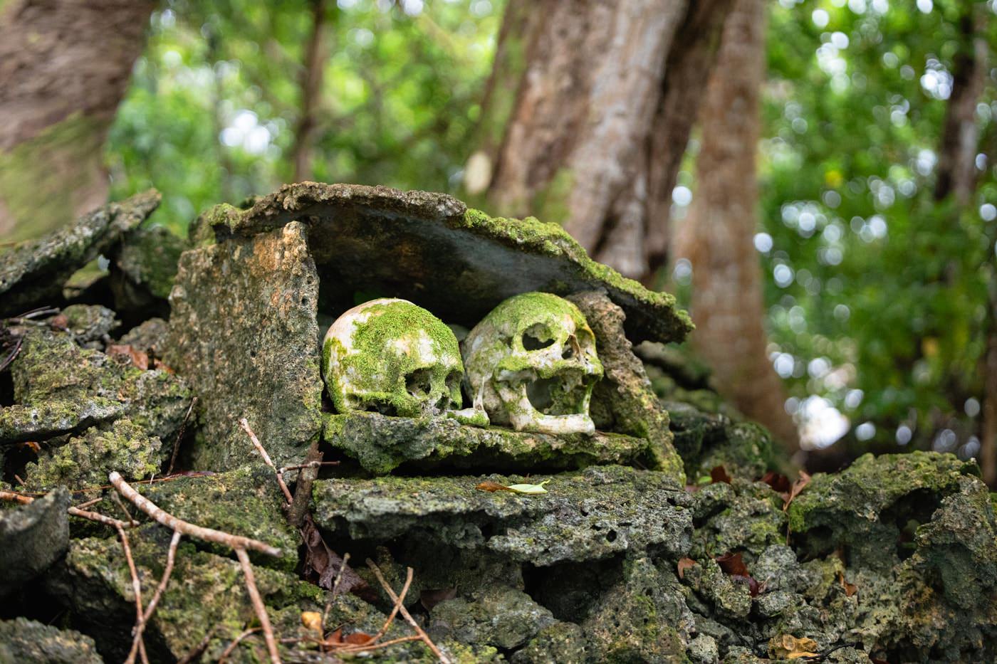 What I Learned Exploring Skull Island, Solomon Islands