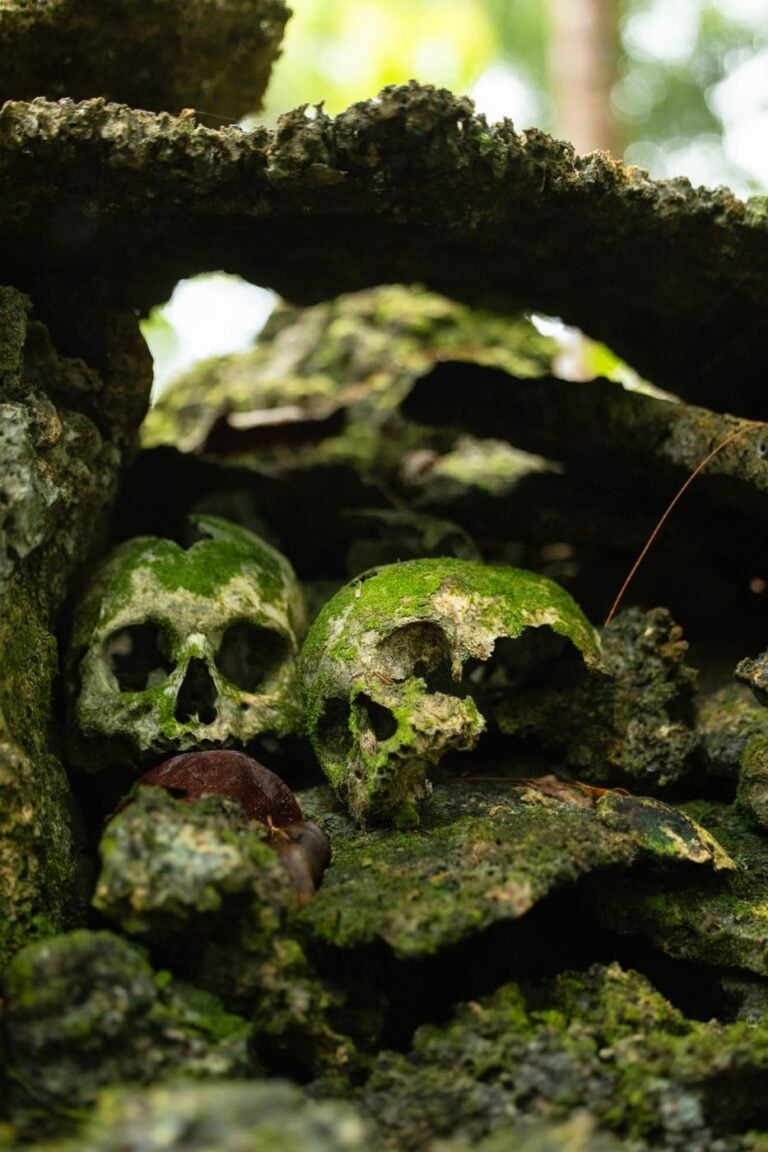 What I Learned Exploring Skull Island, Solomon Islands